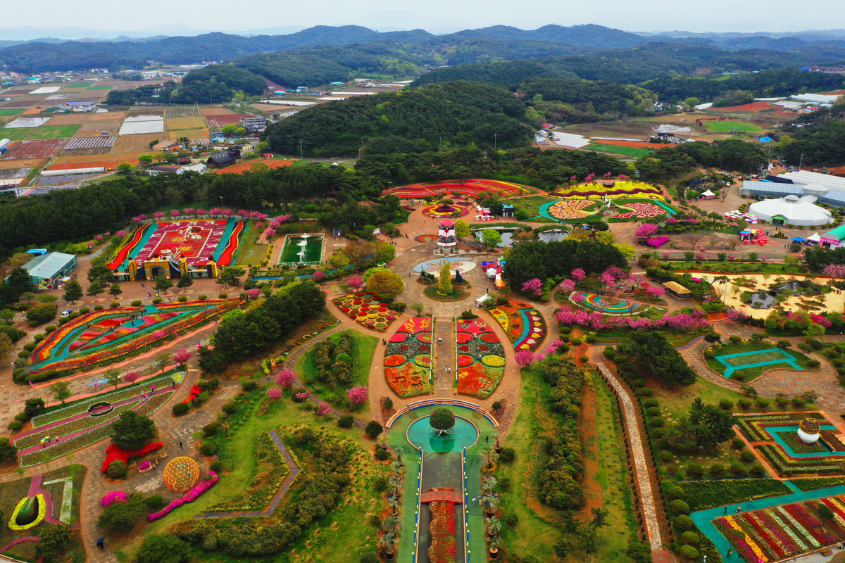 4월 29일 태안 세계튤립꽃박람회_항공 사진[4.28ver]